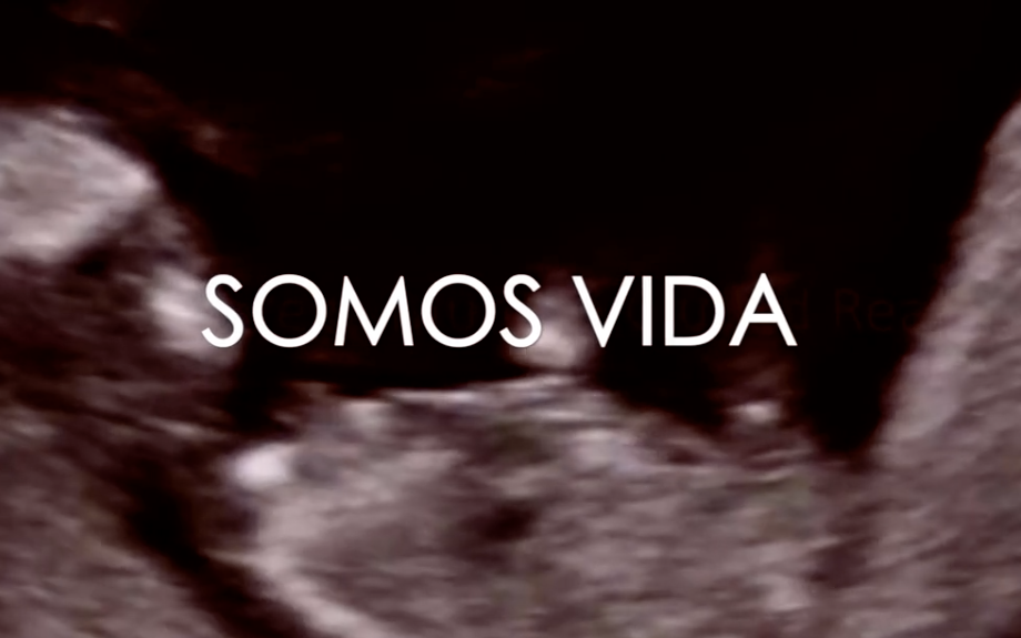 Somos Tradición, somos Vida | Anotaciones de Javier Barraycoa